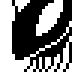Algomon (Perfeito)/Galeria | Digimon Wiki | Fandom