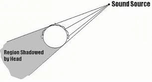 Psychoacoustics | Digital Audio Wiki | Fandom