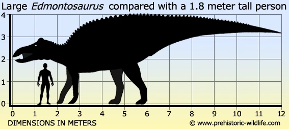 Edmontosaurus | Digital Prehistory Encyclopedia Wiki | Fandom