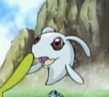 Pichimon | Digimon Wiki | Fandom