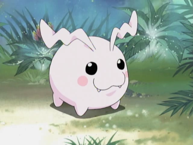 Tokomon | Digimon Wiki | Fandom