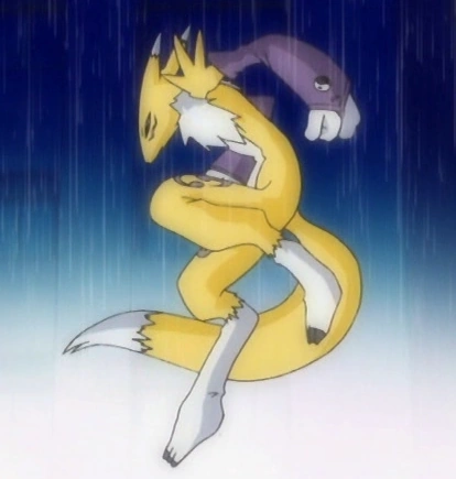 Renamon | Digimon Wiki | Fandom
