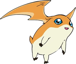 Patamon (Adventure) | Digimon Wiki | Fandom