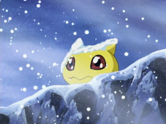 Nyaromon | Digimon Wiki | Fandom