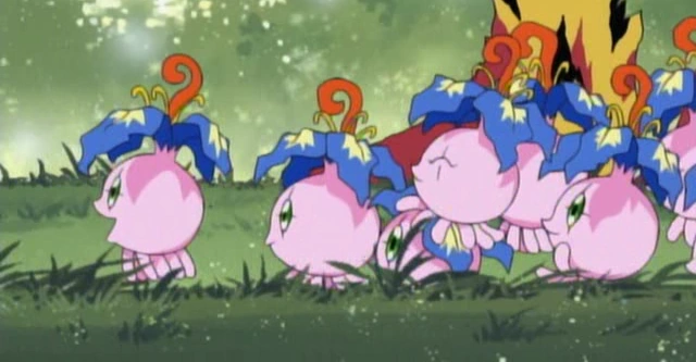 Yokomon | Digimon Wiki | Fandom