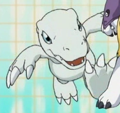 SnowAgumon | Digimon Wiki | Fandom