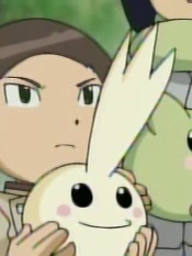 Tsubumon | Digimon Wiki | Fandom