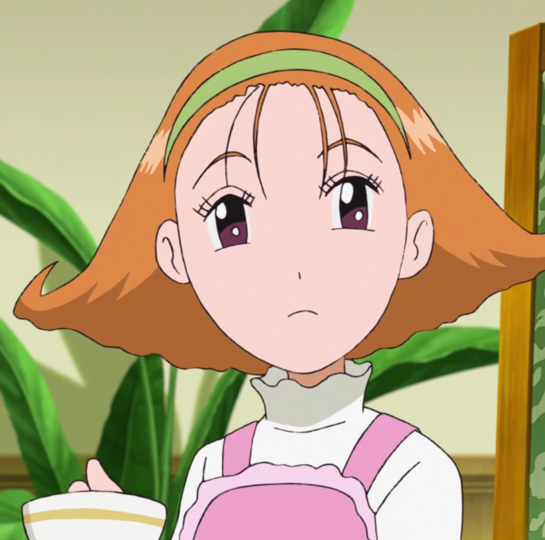 Satoe Tachikawa (Adventure:) | Digimon Wiki | Fandom