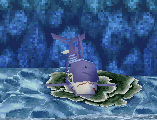 Dolphmon | Digimon Wiki | Fandom