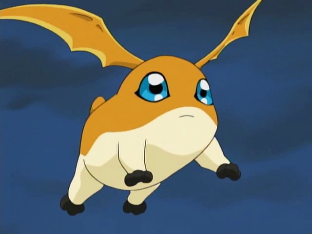 Patamon | Digimon Wiki | Fandom