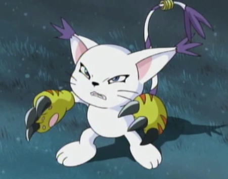 Gatomon | Digimon Wiki | Fandom