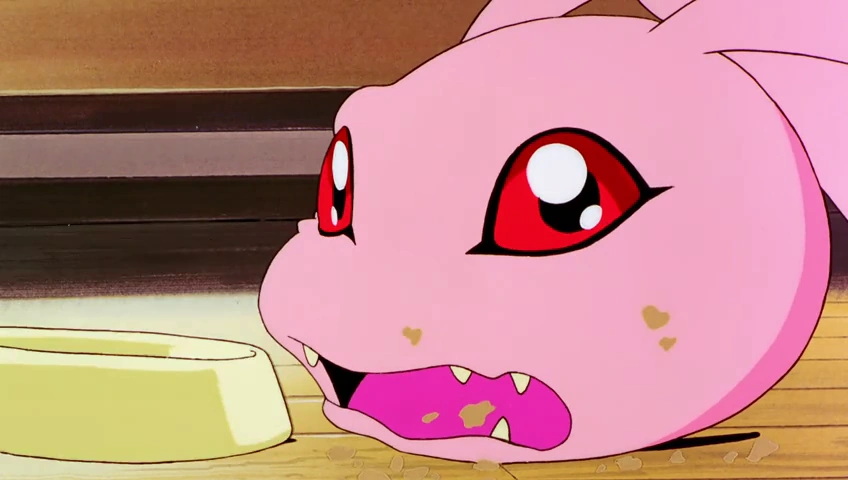 Koromon | Digimon Wiki | Fandom