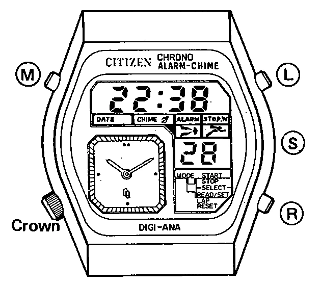 Citizen Module 8910 | DigitalWatch Wiki | Fandom