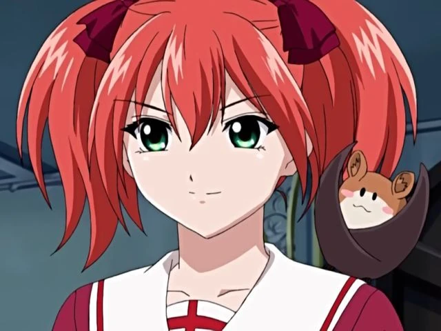 Kokoa Shuzen | DigiTouSailorCure Wiki | Fandom