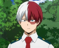 Shoto Todoroki | DigiTouSailorCure Wiki | Fandom