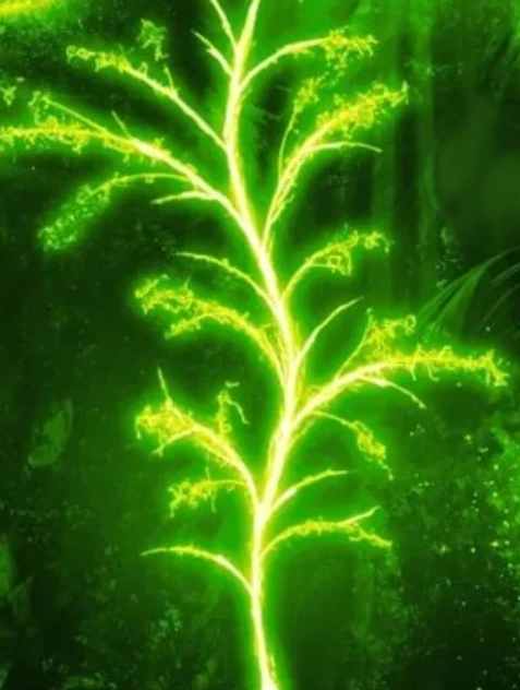 Aevumfield | Dimensional Wiki | Fandom