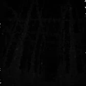 Dimlight Wiki | Fandom