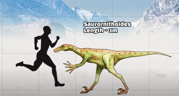 Saurornithoides | DingDong Dinosaurs Wiki | Fandom