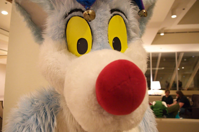 Scurrow | Dingodog Wikia | Fandom