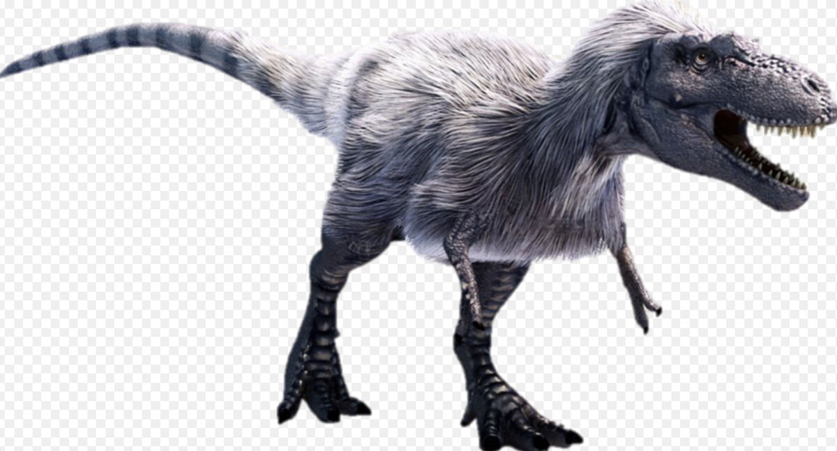 Albertosaurus Dink The Little Dinosaur Wiki Fandom