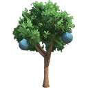 Quandong Tree | Dinkum Wiki | Fandom