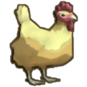 Chook | Dinkum Wiki | Fandom