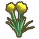 Billy Button | Dinkum Wiki | Fandom