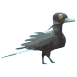 Magpie | Dinkum Wiki | Fandom