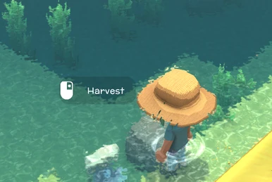 pattern stone path dinkum