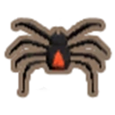 Redback Spider | Dinkum Wiki | Fandom