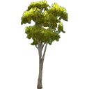 Plants | Dinkum Wiki | Fandom