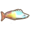 Rainbow Fish | Dinkum Wiki | Fandom