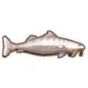 Boofhead Catfish | Dinkum Wiki | Fandom