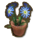 River Daisy Pot | Dinkum Wiki | Fandom