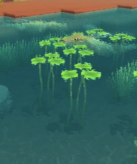 Billabong | Dinkum Wiki | Fandom