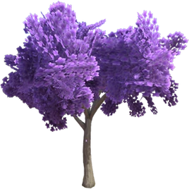 Jacaranda Tree | Dinkum Wiki | Fandom