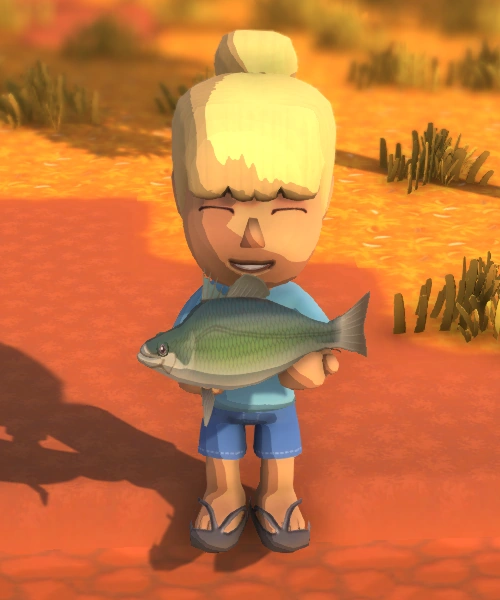 Macquarie Perch | Dinkum Wiki | Fandom