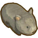 Vombat | Wiki Dinkum | Fandom