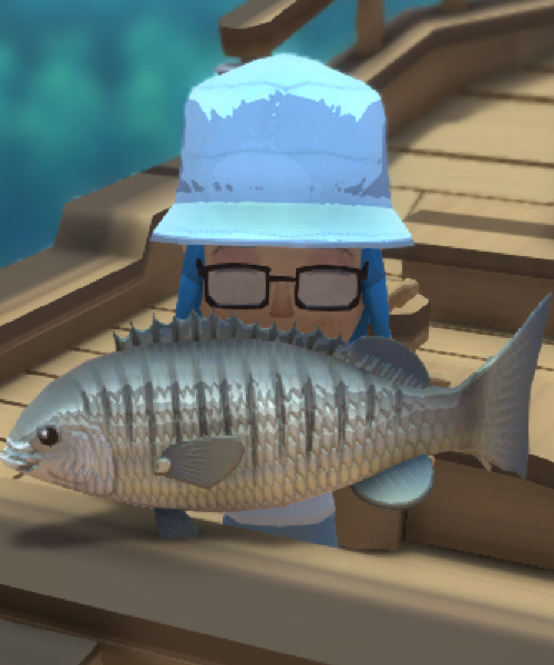 Luderick | Dinkum Wiki | Fandom