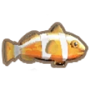 Clown Fish | Dinkum Wiki | Fandom