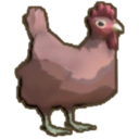 Chook | Dinkum Wiki | Fandom