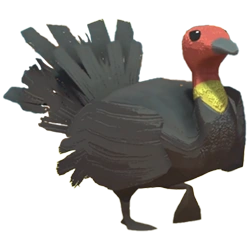 Scrub Turkey | Dinkum Wiki | Fandom