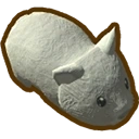 Vombat Joey | Wiki Dinkum | Fandom