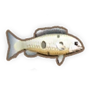 Barcoo Grunter | Dinkum Wiki | Fandom