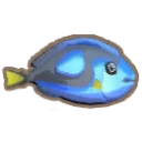 Blue Tang | Dinkum Wiki | Fandom