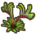 Jackaroo Paw | Dinkum Wiki | Fandom