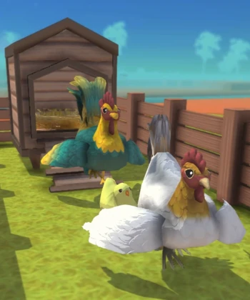 Chook | Dinkum Wiki | Fandom