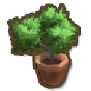 Jacaranda Sapling | Dinkum Wiki | Fandom