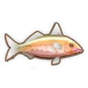 Goat Fish | Dinkum Wiki | Fandom