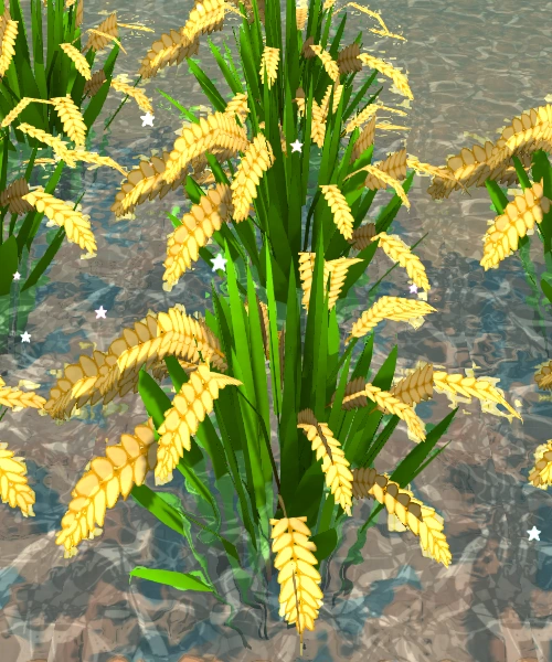 Rice | Dinkum Wiki | Fandom